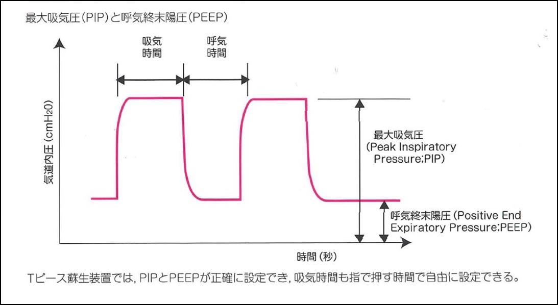 ncpr eラーニング – ncpr 更新 e ラーニング – NMVCP