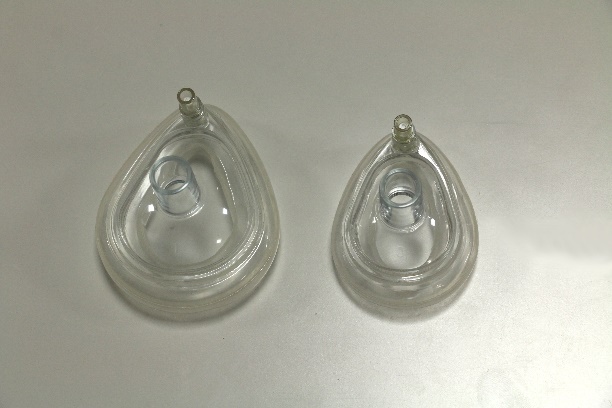 ncpr eラーニング – ncpr 更新 e ラーニング – NMVCP