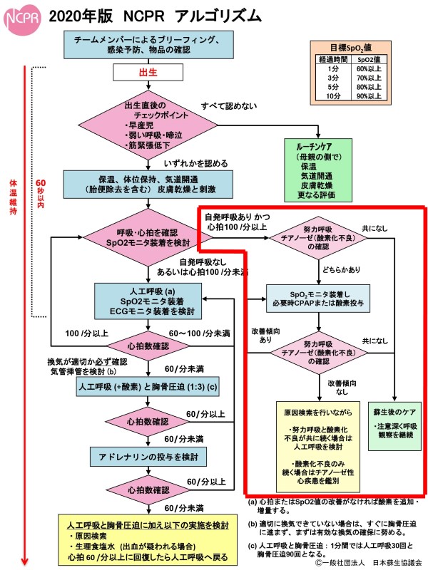 NCPR e-ラーニング